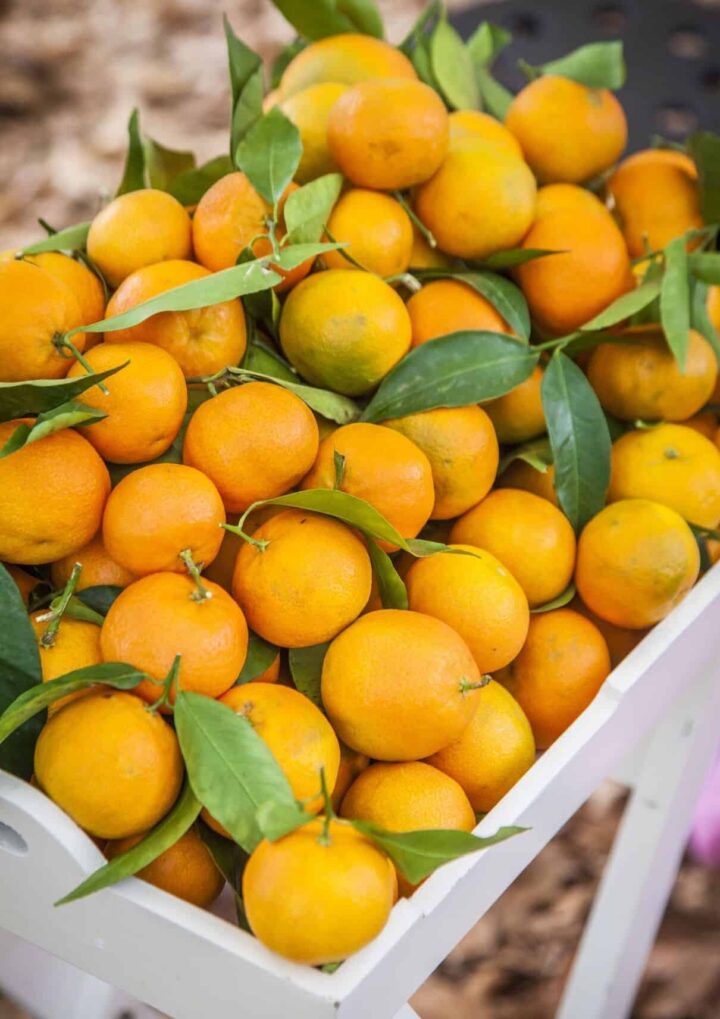 Flourless Orange Cake - Baking Envy