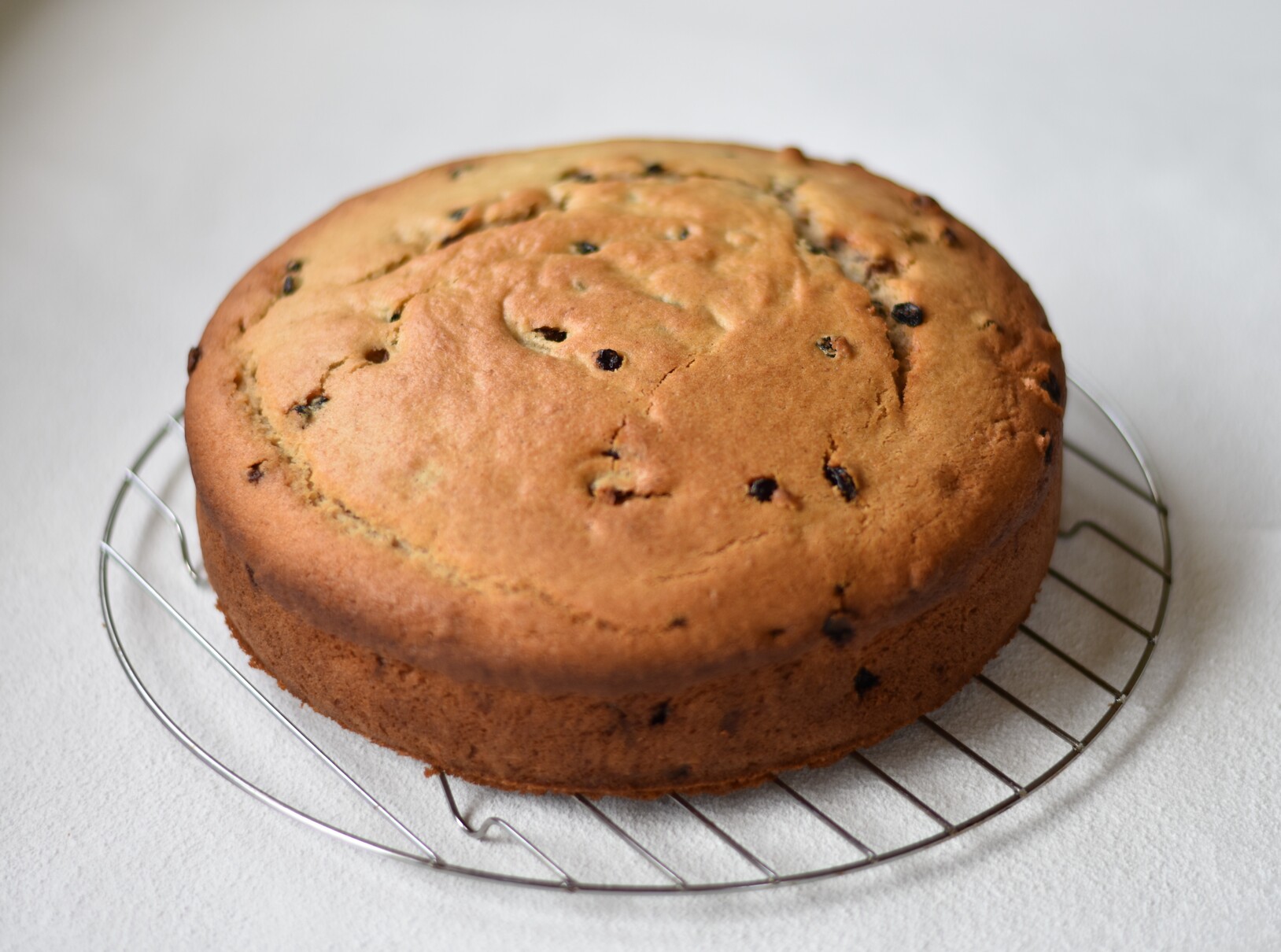 Classic Boston Bun - Baking Envy